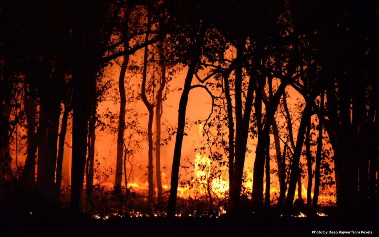 The Impact of the 2019 Australian Bushfire: Financial Markets, Air ...